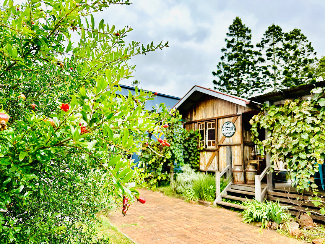 Pechey Distilling Co.