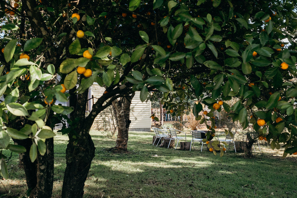 Pechey Distilling Co.